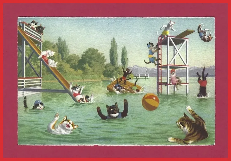 Max Kunzli Dressed Cat Postcard of Swimming Hole - Ruby Lane