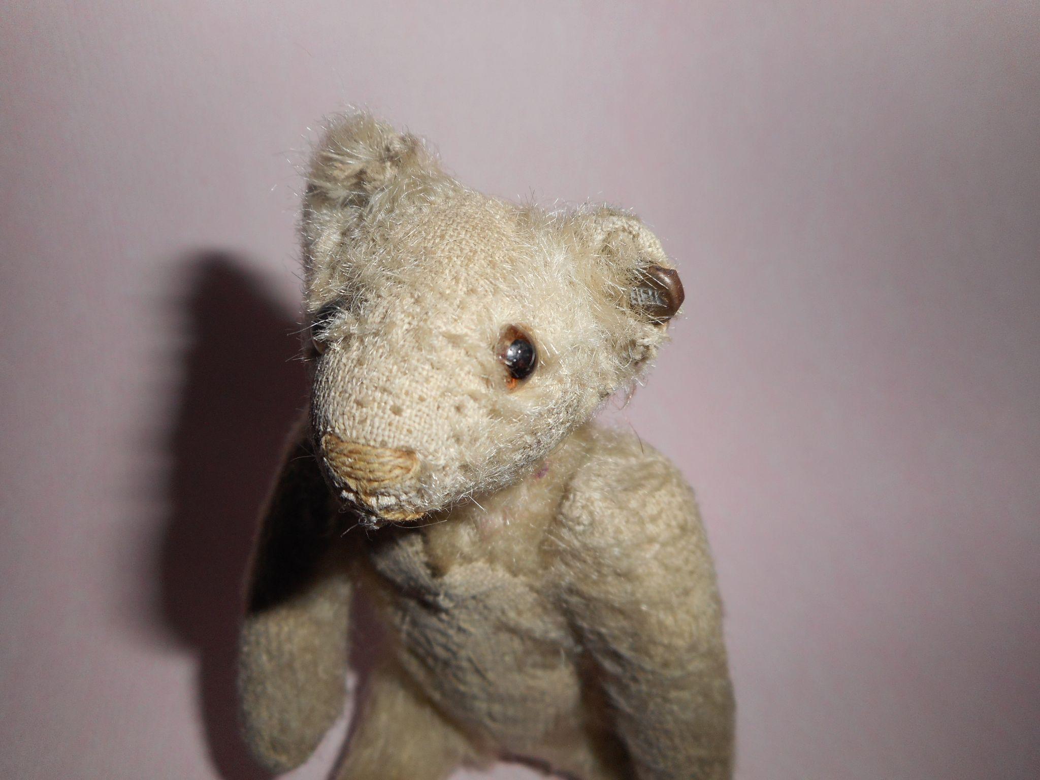 Small White Steiff Teddy With Button In Ear from theluckyblackcat on ...